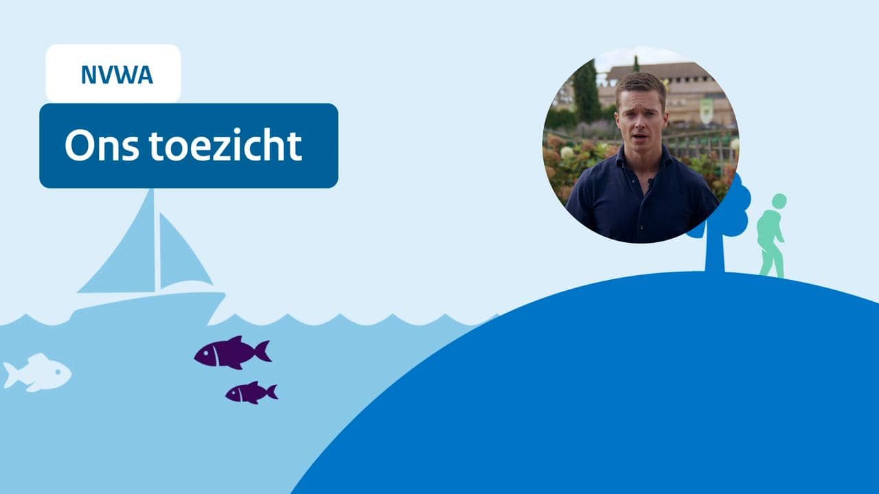 Hoe weet ik of attracties en speeltoestellen veilig zijn? | NVWA