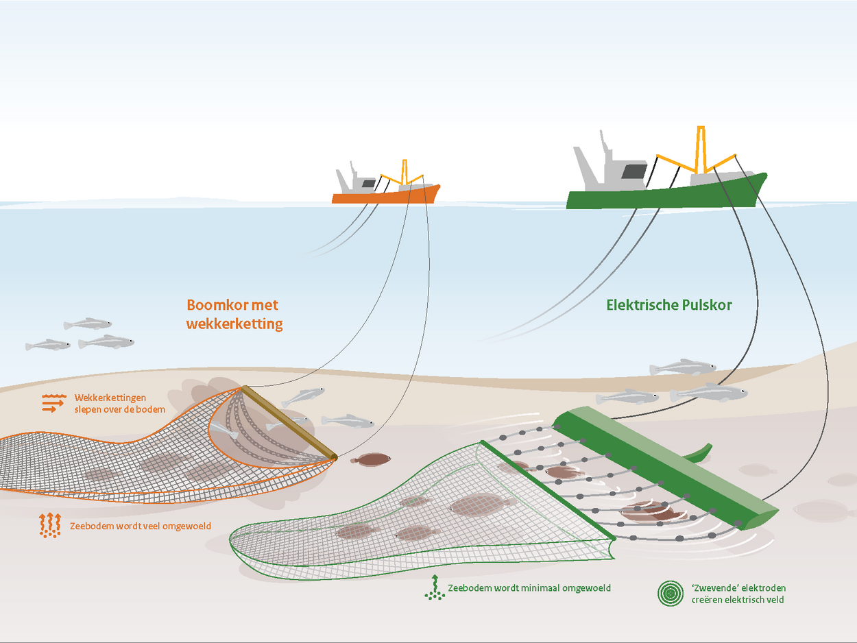 Samenstelling en grootte Nederlandse vissersvloot 2016-2020 | Visketen in beeld | NVWA