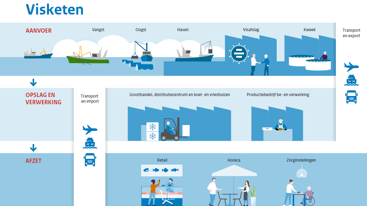 Schakels in de Nederlandse visketen | Visketen in beeld | NVWA